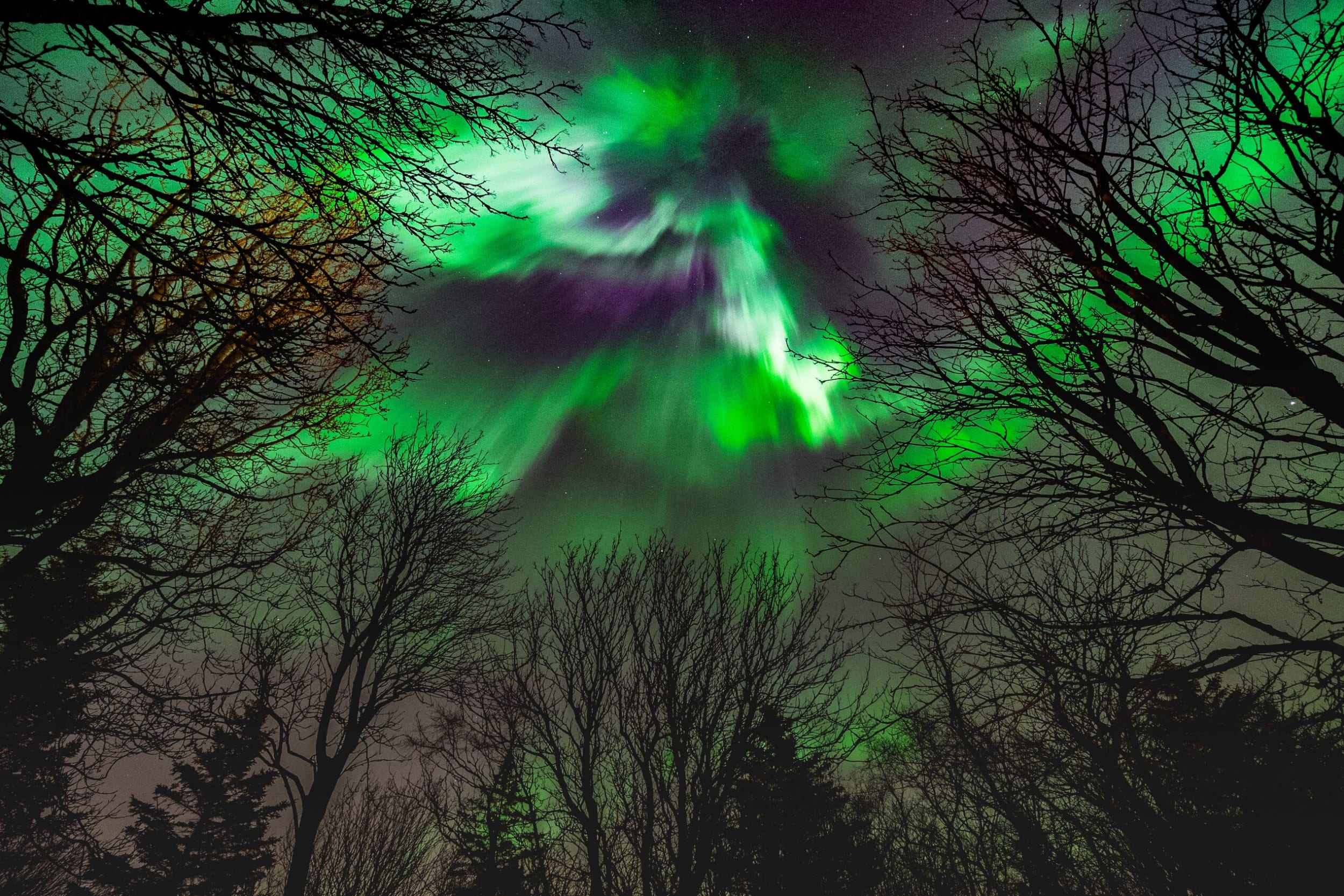 The Northern Lights Explained | Icelandair US